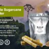 Panela Sugar | Bulk Raw Cane Sugar | Rainforest Supply